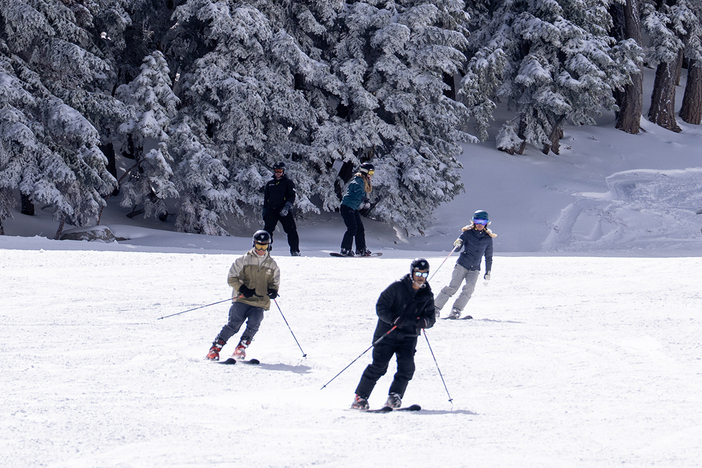 Mountain High - Daily Photos 3-11